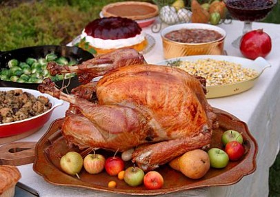 Thanksgiving Turkey Gone Very Wrong | Marler Blog