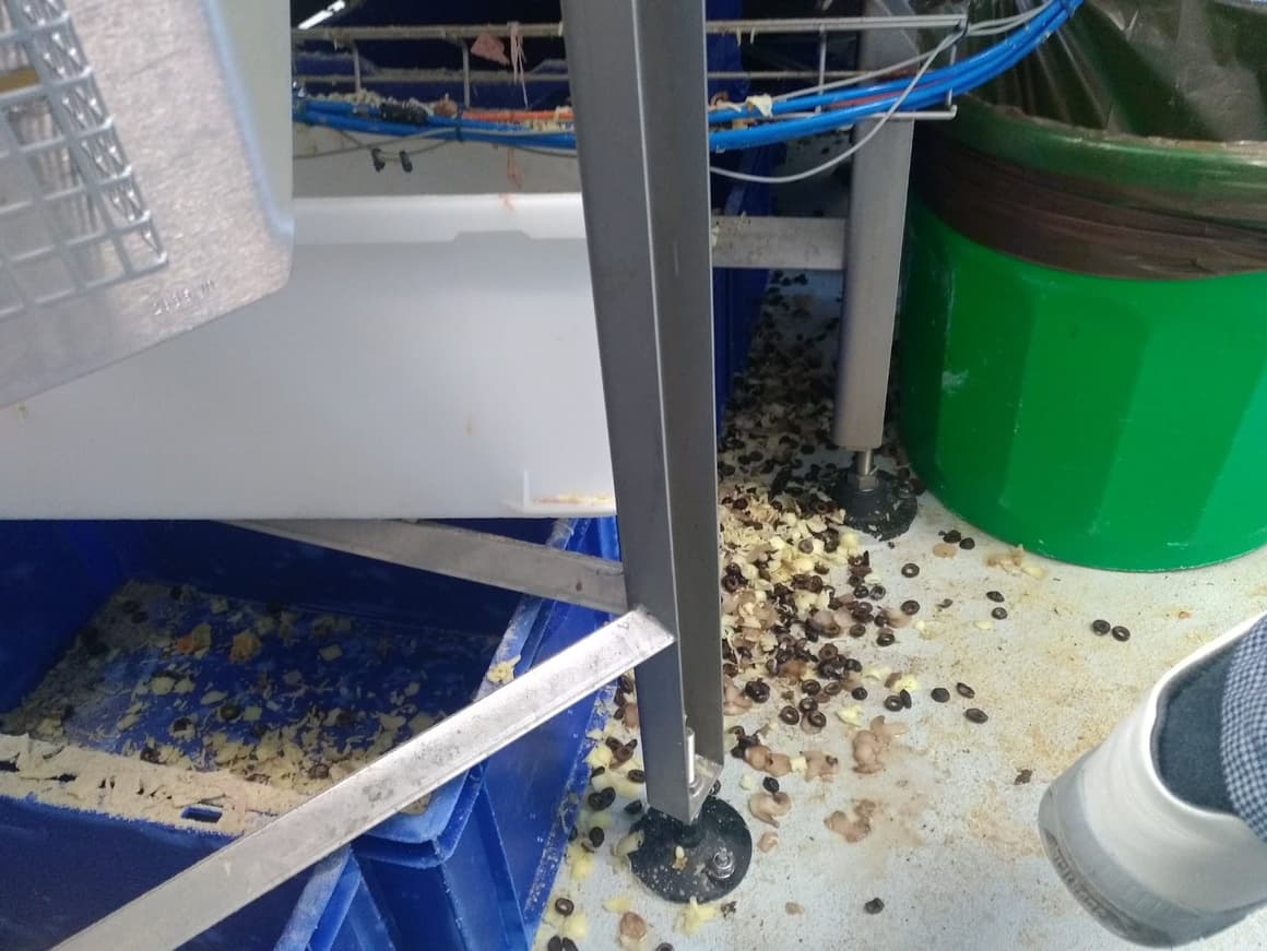 Nestlé Buitoni Pizza factory - We have a problem | Marler Blog