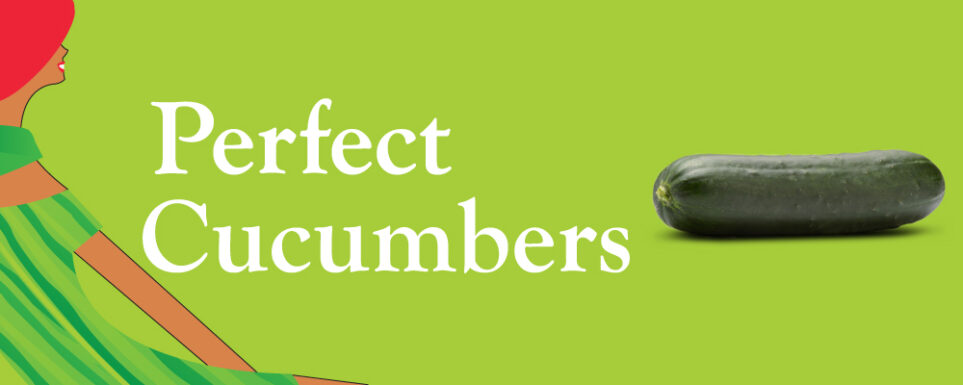 Salmonella illnesses prompt Thanksgiving Day recall of SunFed Cucumbers ...