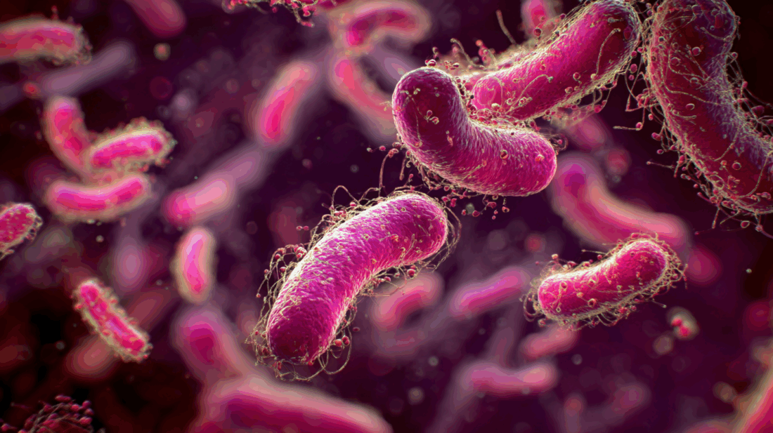 South Carolina warns Botulism Contaminated Infant Formula Still on ...